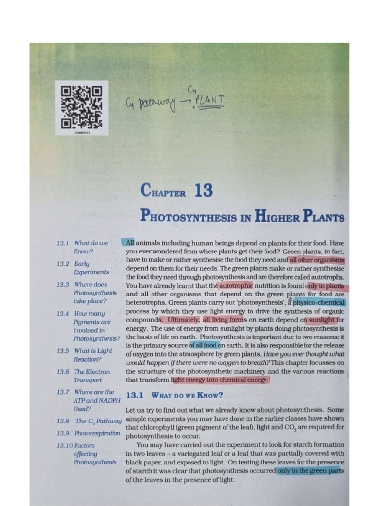Photosynthesis in Higher Plants1 | PDF