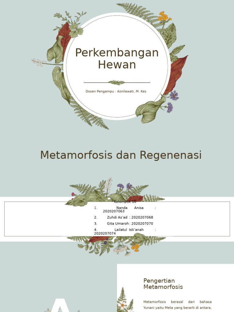 Perkembangan Hewan Kel.10 | PDF
