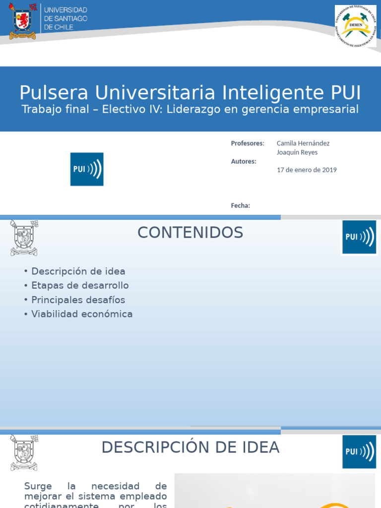 (Sin Video) Proyecto PUI - Liderazgo | PDF | Informática