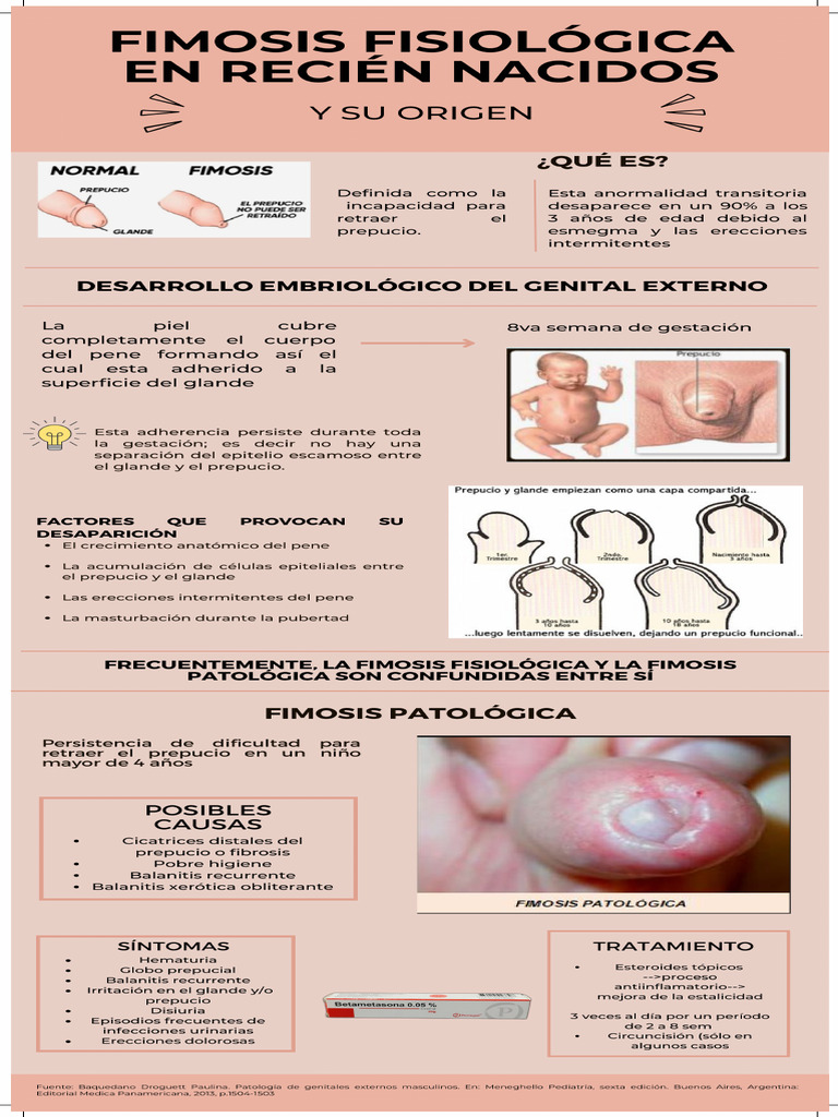 Fimosis Fisiológica | PDF