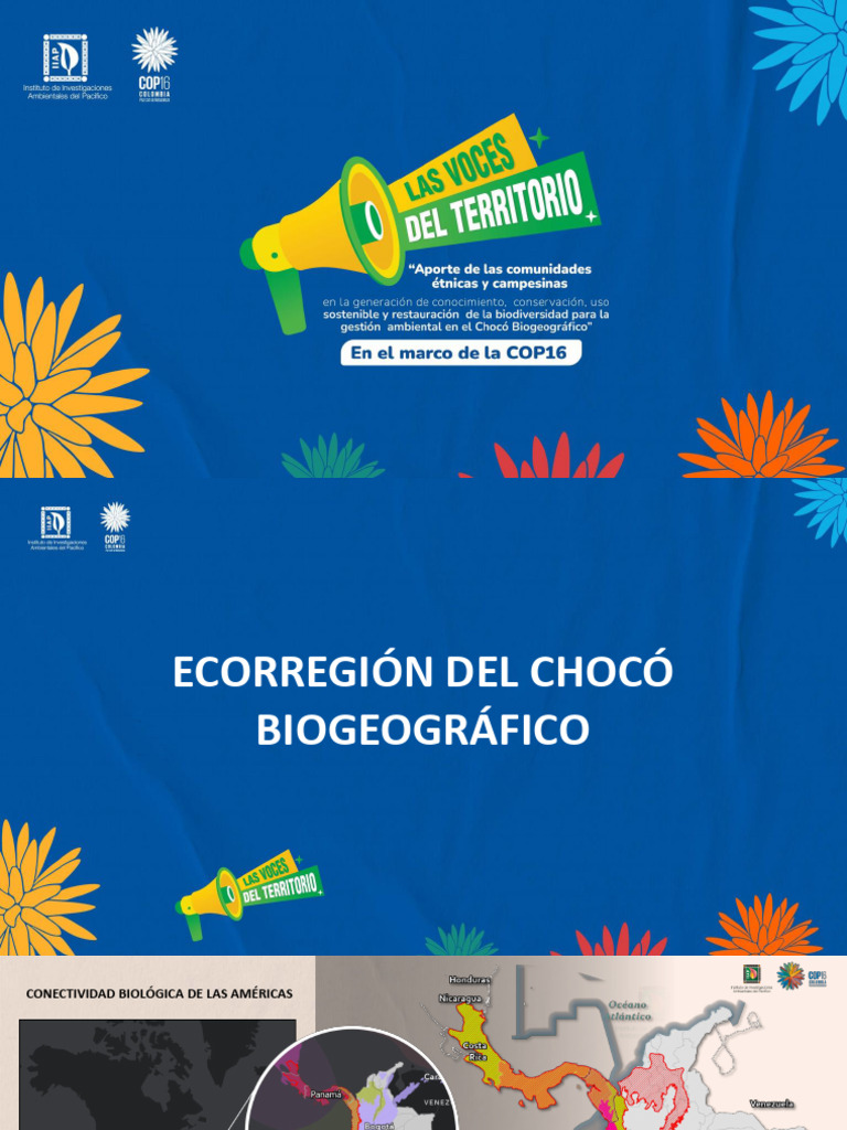 5 Contexto Del Chocó Biogeográfico | PDF | Naturaleza | Oceanografía