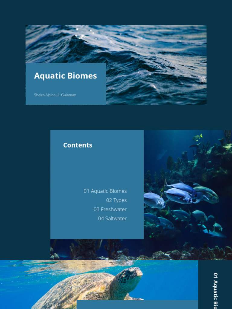 1.4.1 Aquatic Biomes | PDF