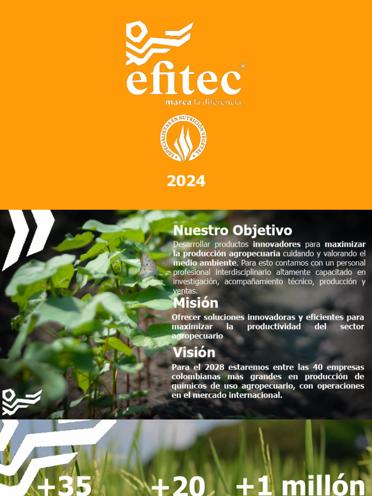 Efitec Presentacion Arroz 2024 | PDF