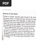 Chapter 18 - Heart Lecture Notes Complete | PDF | Heart Valve | Atrium ...