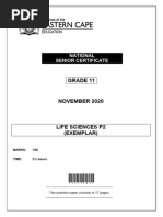 Life Science Grade 11 Term 3 Notes | PDF | Kidney | Urine