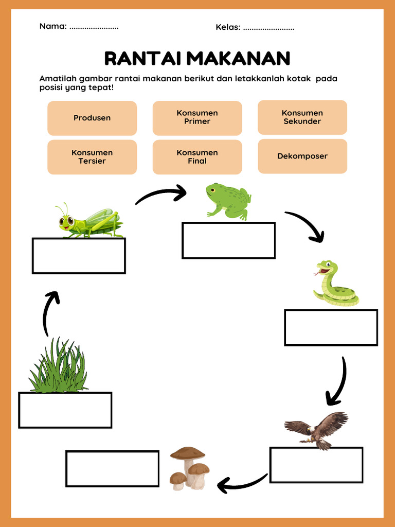 Orange Putih Ilustrasi Ipa Biologi Rantai Makanan Lembar Kerja | PDF