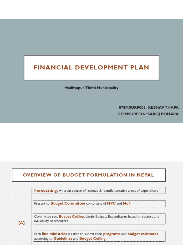 Financial Development Plan | PDF