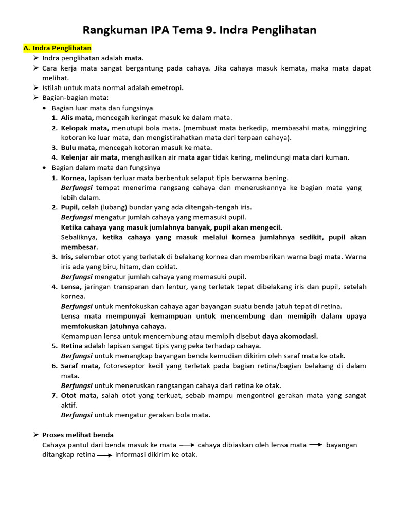 Rangkuman IPA Tema 9 Indra Penglihatan | PDF