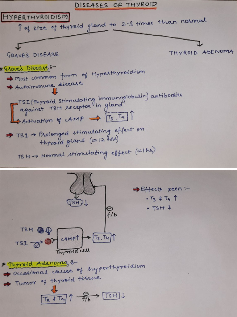 Hyperthyroidism and Hypothyroidism | PDF
