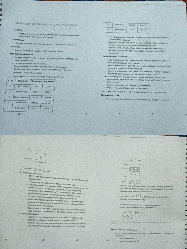 Bio Short Notes Class 12 CH 1 | PDF