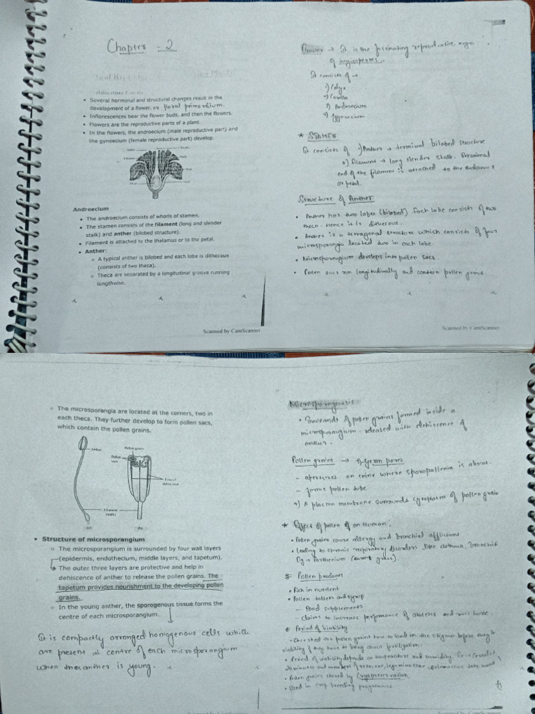 Biology Short Notes Class 12 CH 2 | PDF