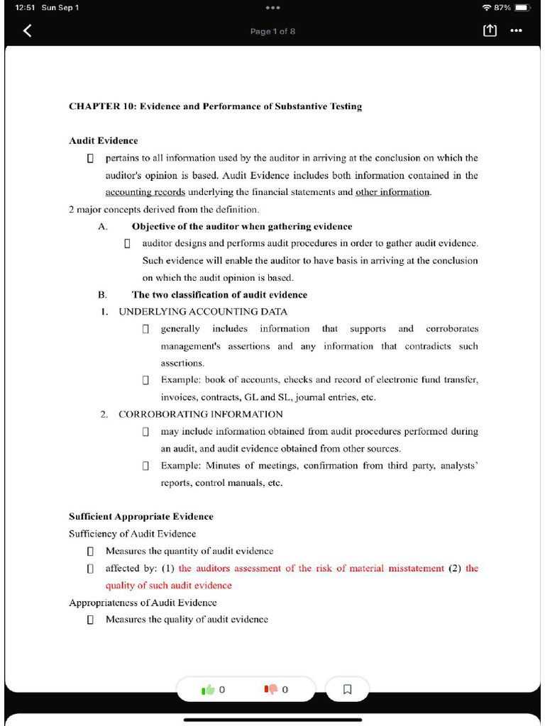chp10 Audit | PDF