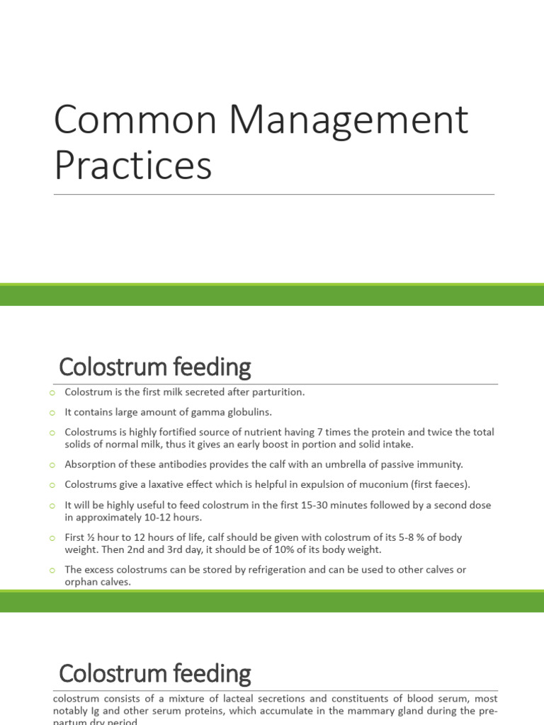 Common Management Practices-1 | PDF