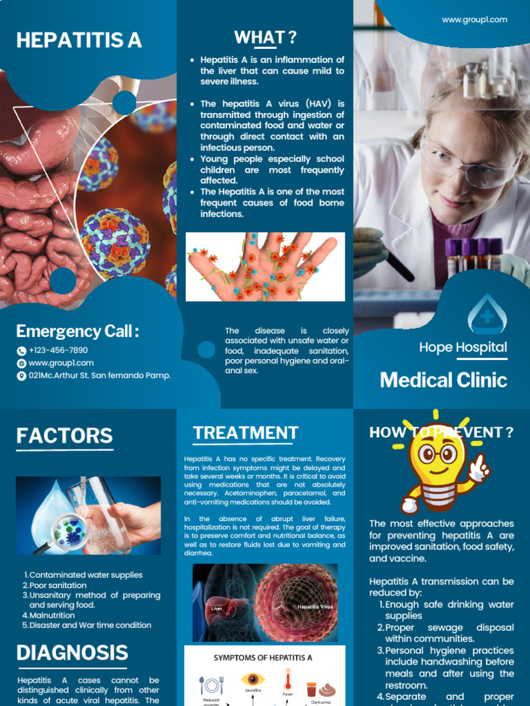 Hepatitis A Brochure | PDF