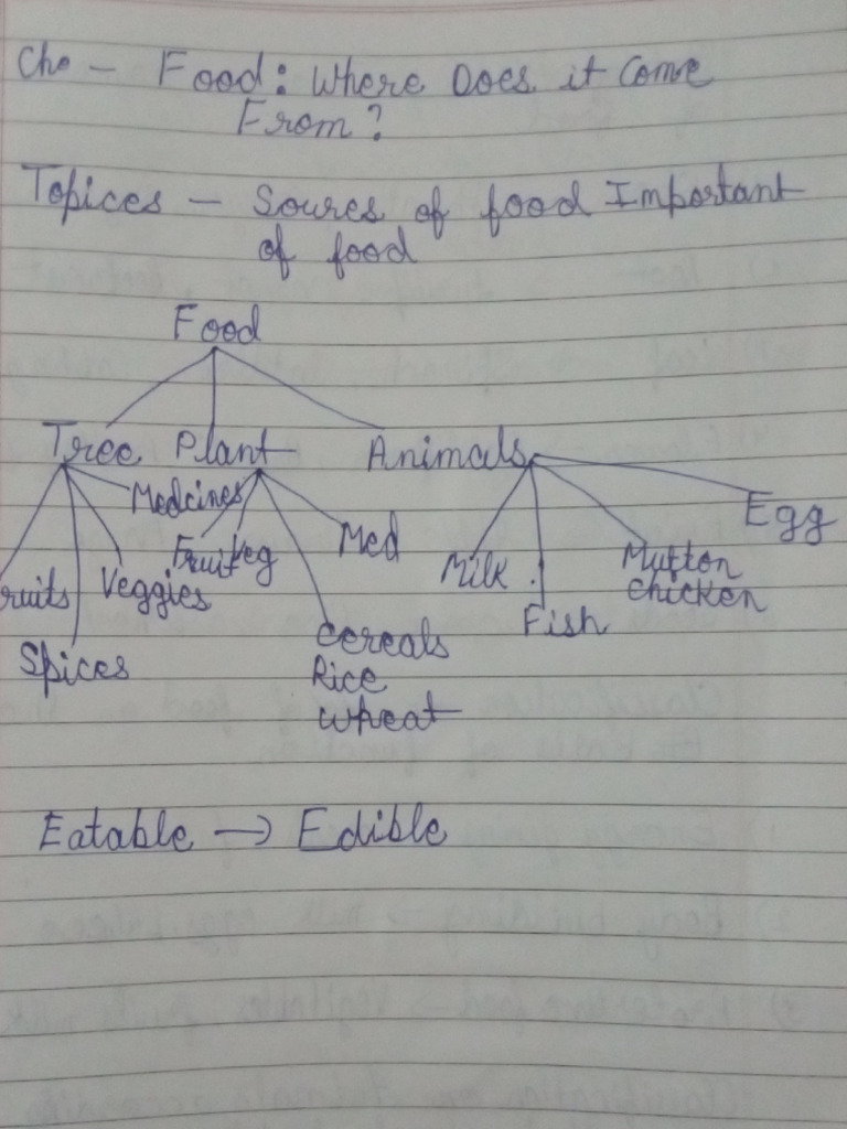 Biology All Classwork | PDF
