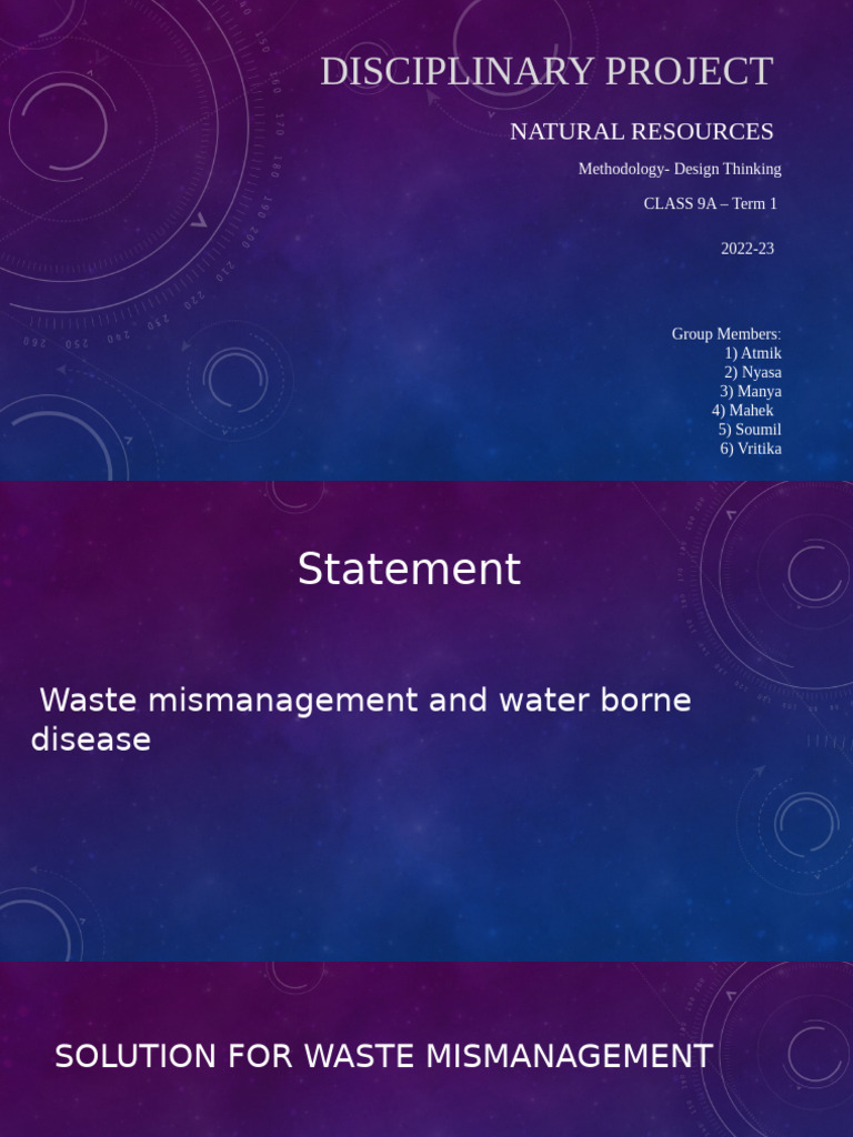 Disciplinary Project | PDF