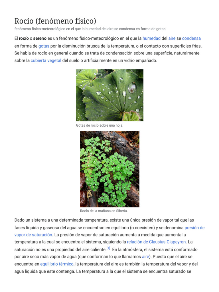 Fenómeno del Rocío y su Importancia | PDF | Vapor de agua | Ciencias de ...