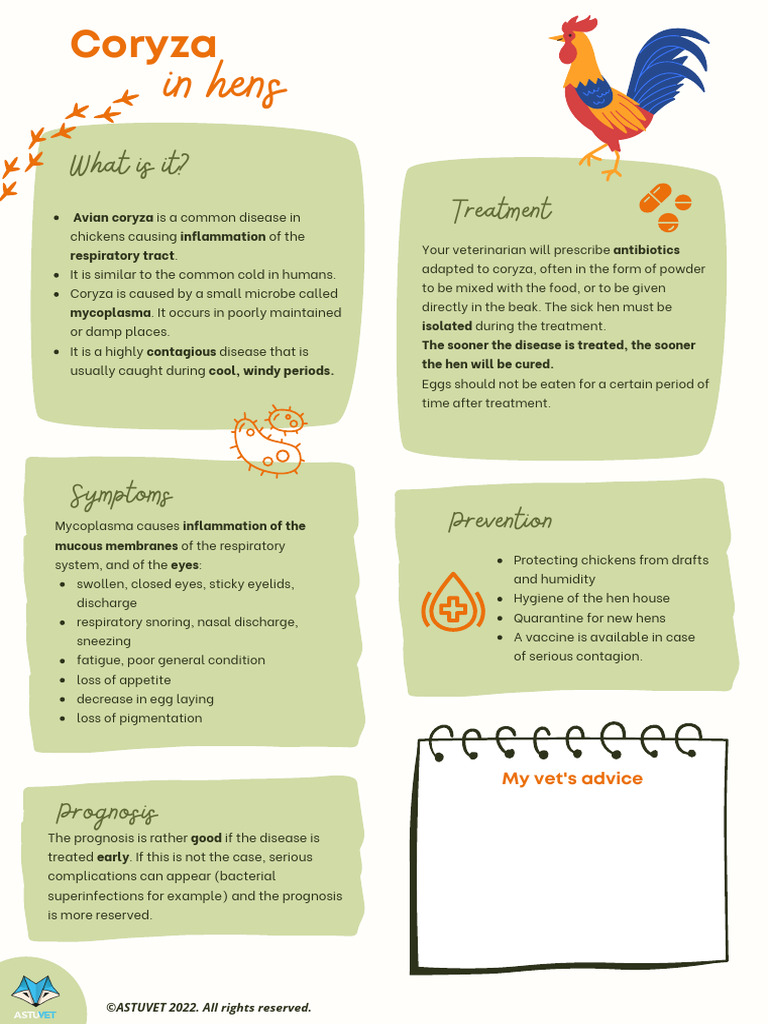 32d50962-Coryza in Hens | PDF