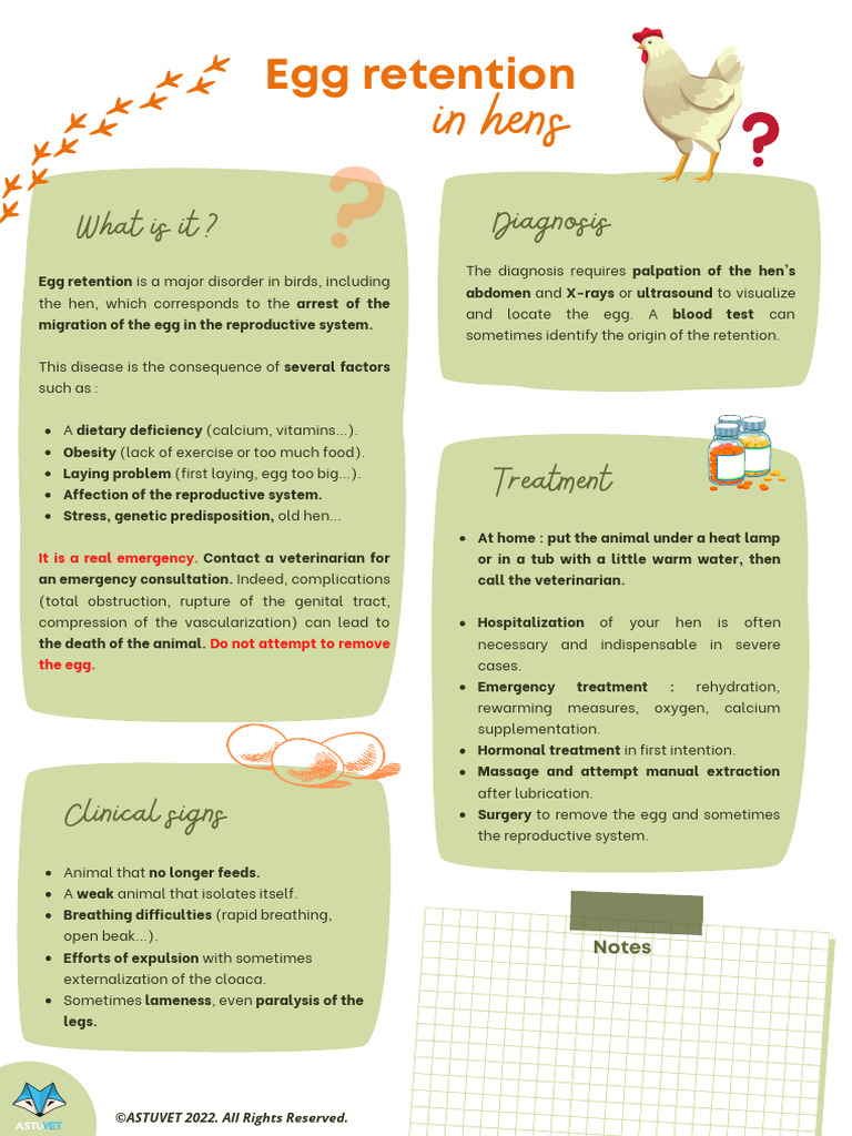 1e3ede05-Egg Retention in Hens | PDF
