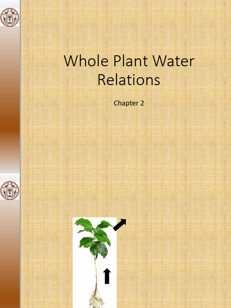 CH2-Whole Plant Water Relations | PDF