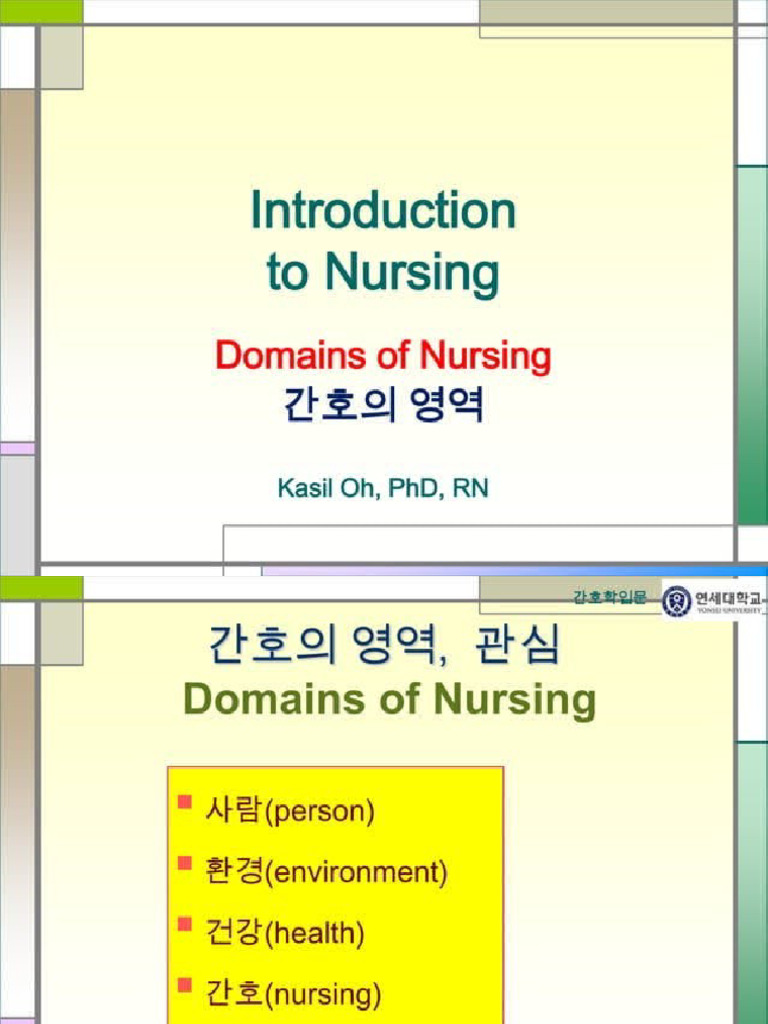 Nursing Domain | PDF