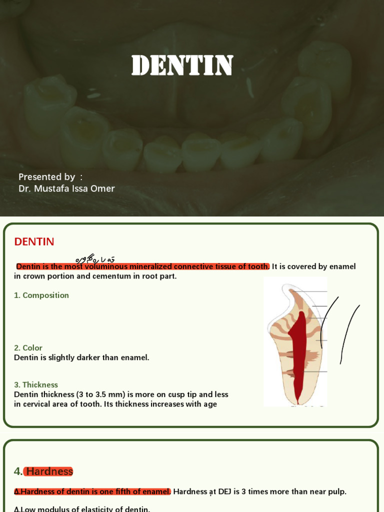 Dentin | PDF
