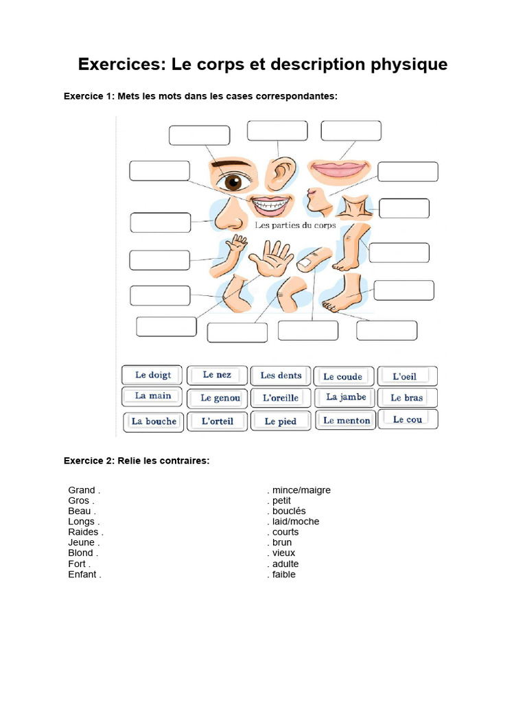 Exercices - Le Corps | PDF