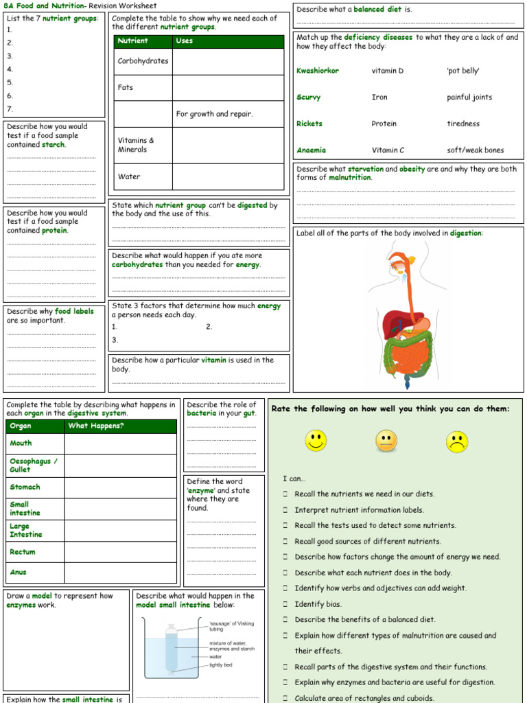 Year 8 Food and Diet Revision Worksheet | PDF
