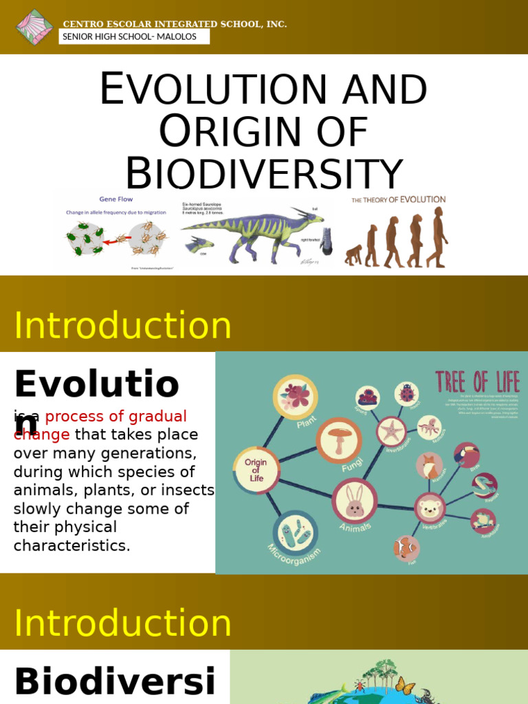 Evolution and Origin of Biodiversity | PDF