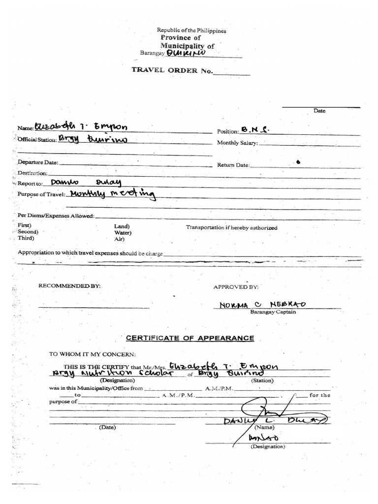 Travel Order Barangay | PDF