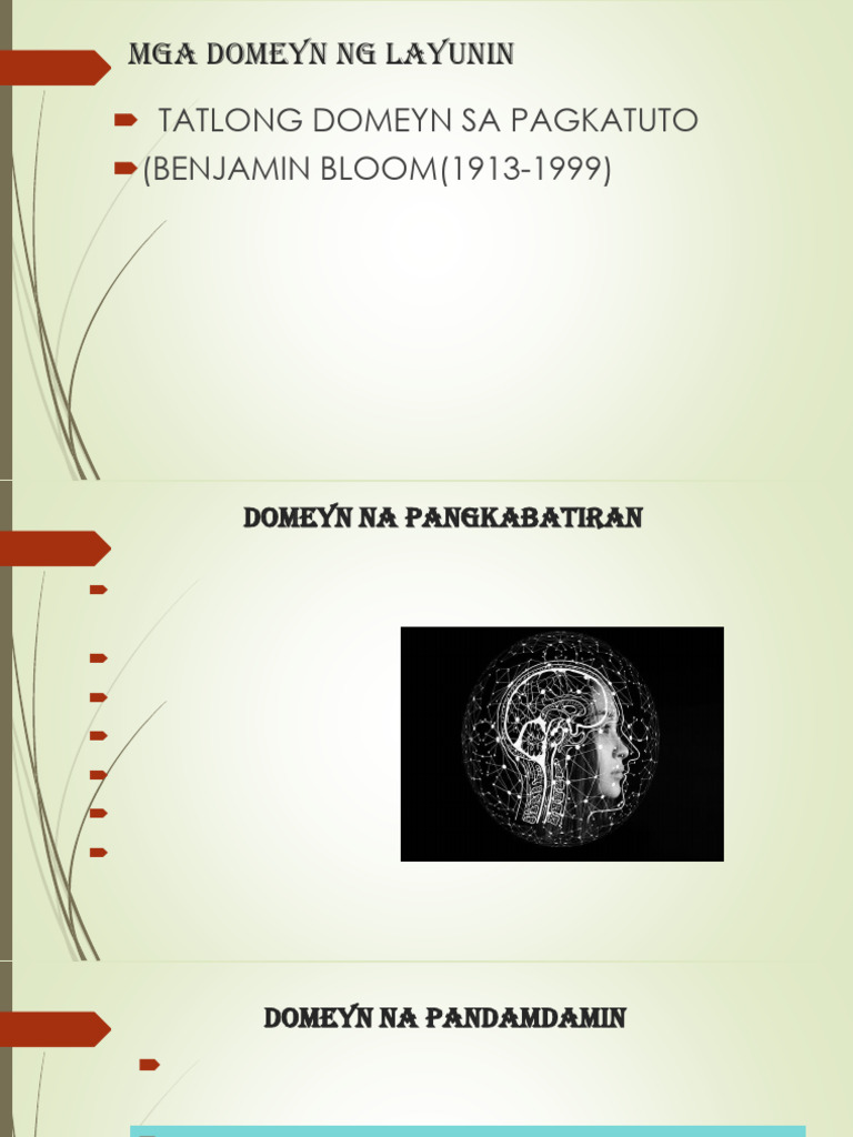 Mga Domeyn NG Layunin | PDF