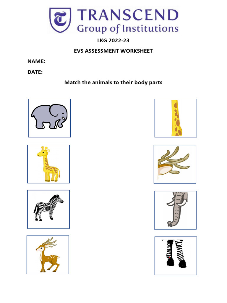 LKG Evs Assessement Worksheet | PDF