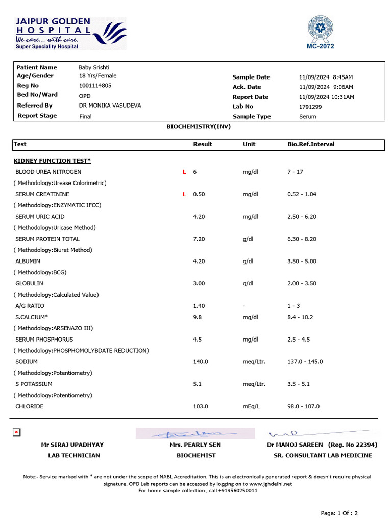 Print Lab Report | PDF