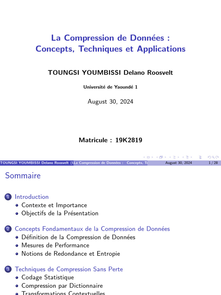 Presentation Compression | PDF