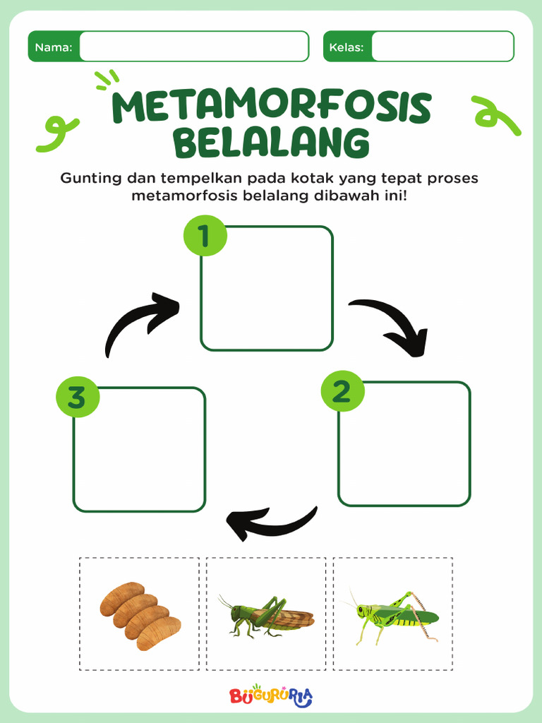 Gunting Tempel - Metamorfosis Belalang | PDF