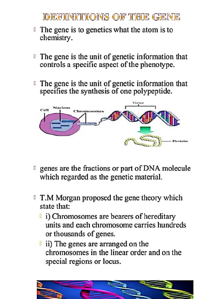 Nature of Gene | PDF