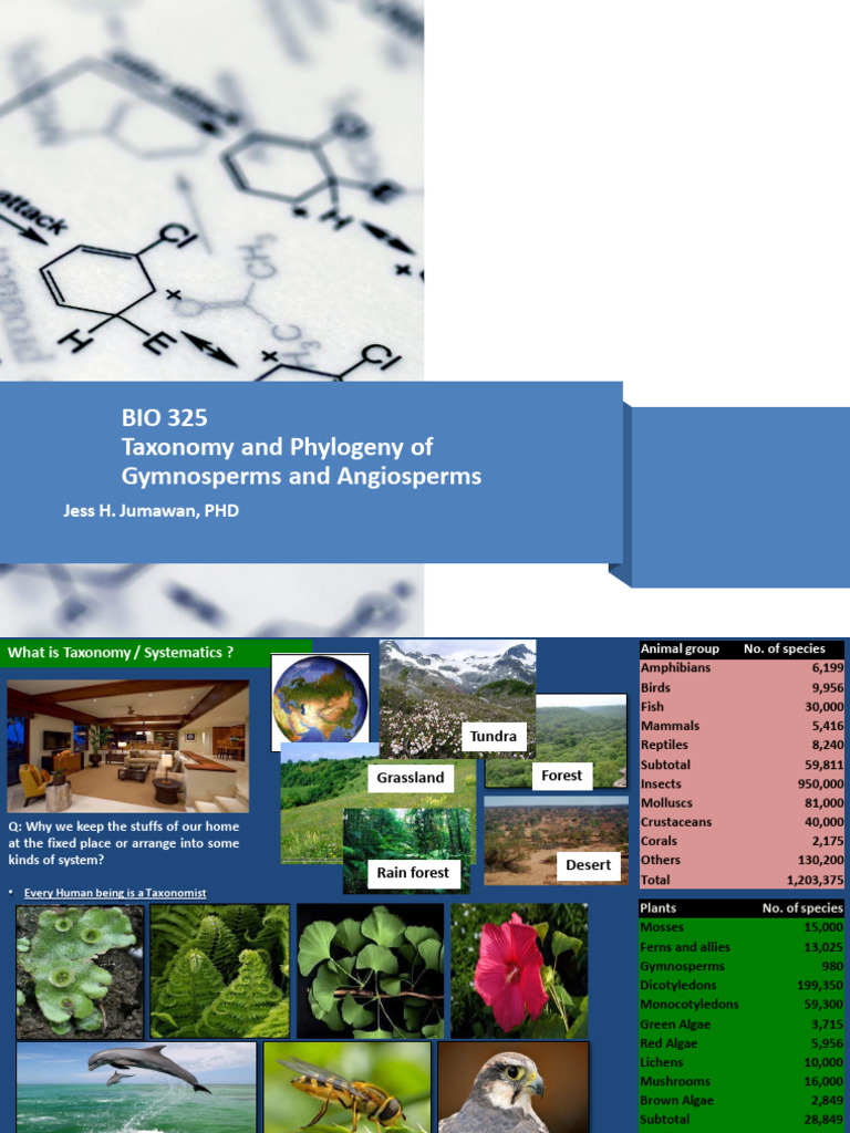 Plants Taxonomy | PDF | Leaf | Science & Mathematics