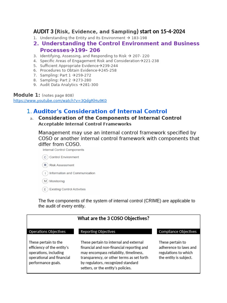 AUDIT 3 - MODULE2 - Control Environment and Business Processes | PDF