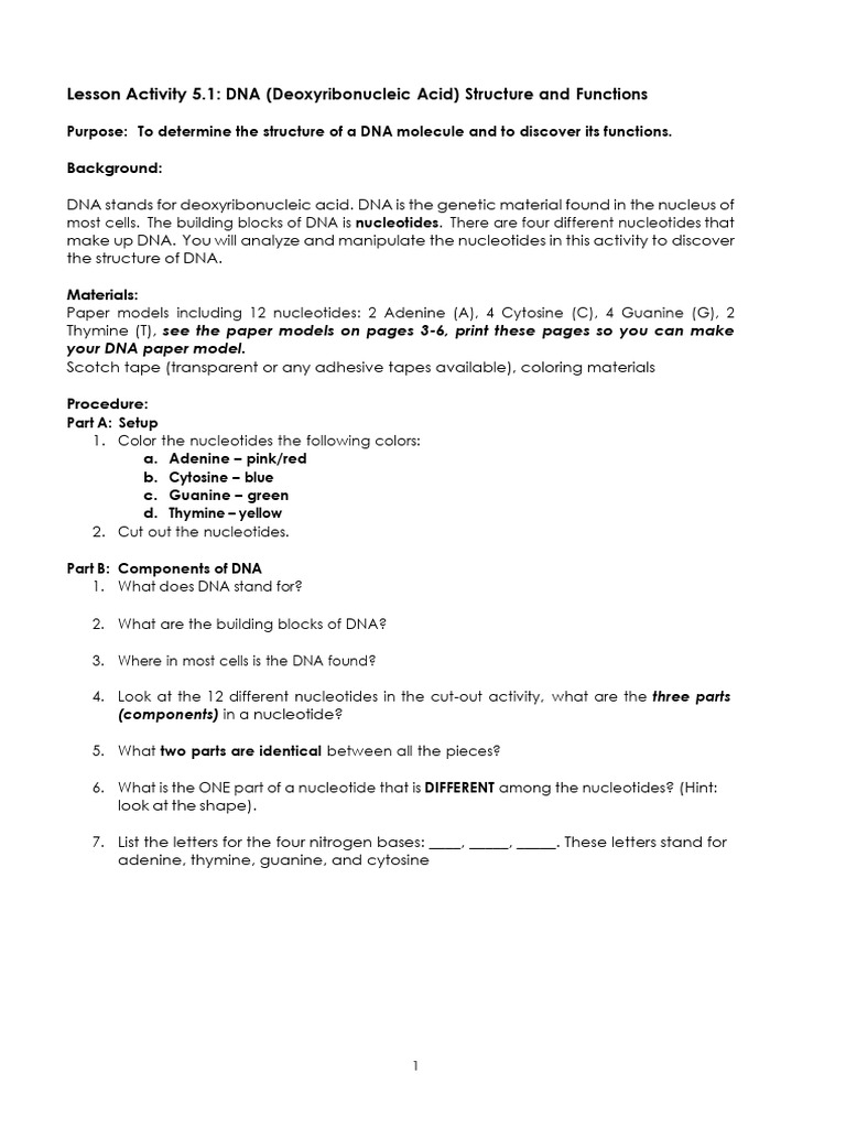 DNA Cut Out Activity | PDF