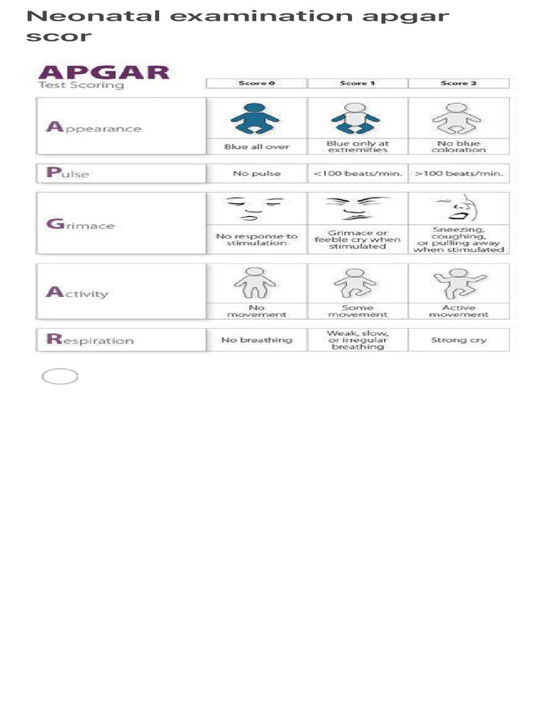 Neonatal Examination Apgar Scor | PDF
