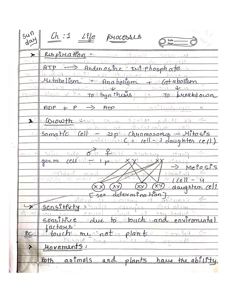 STD 10 - (Sci-Bio) ch-5, 6,13 | PDF