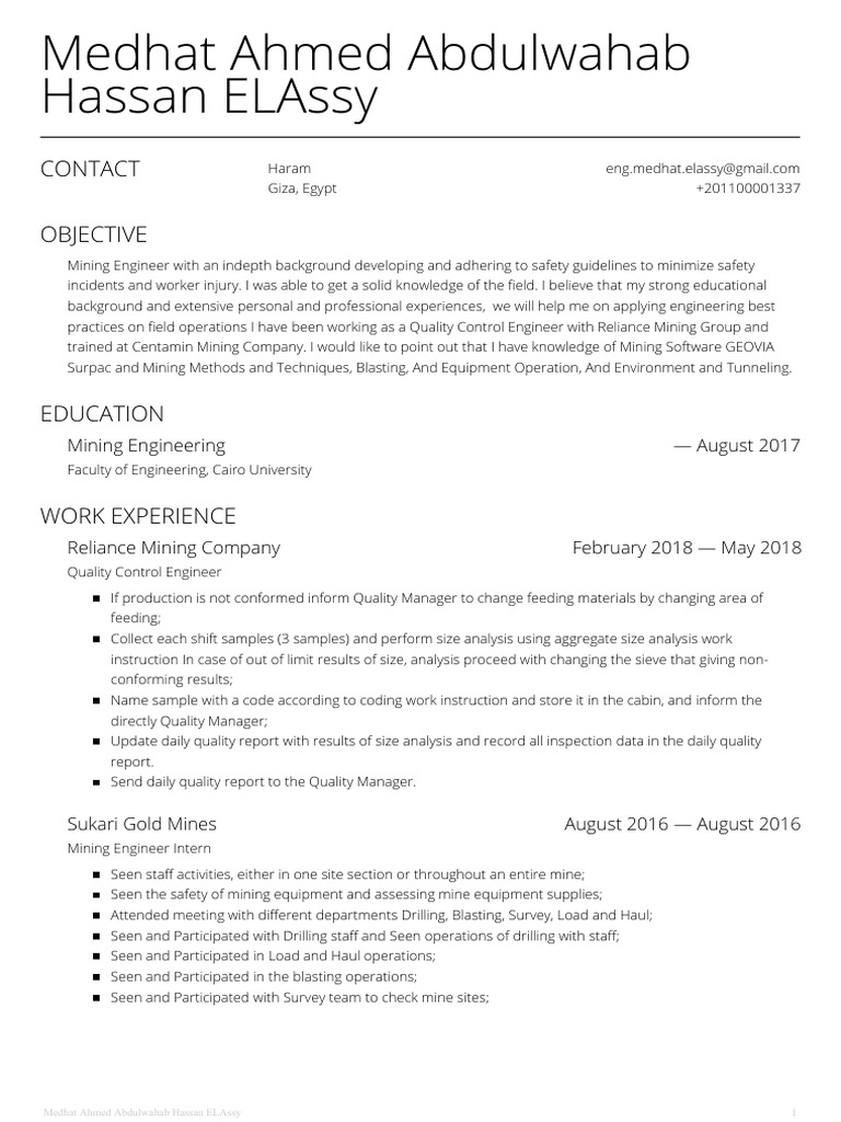 Medhat ELAssy.CV.pdf | PDF
