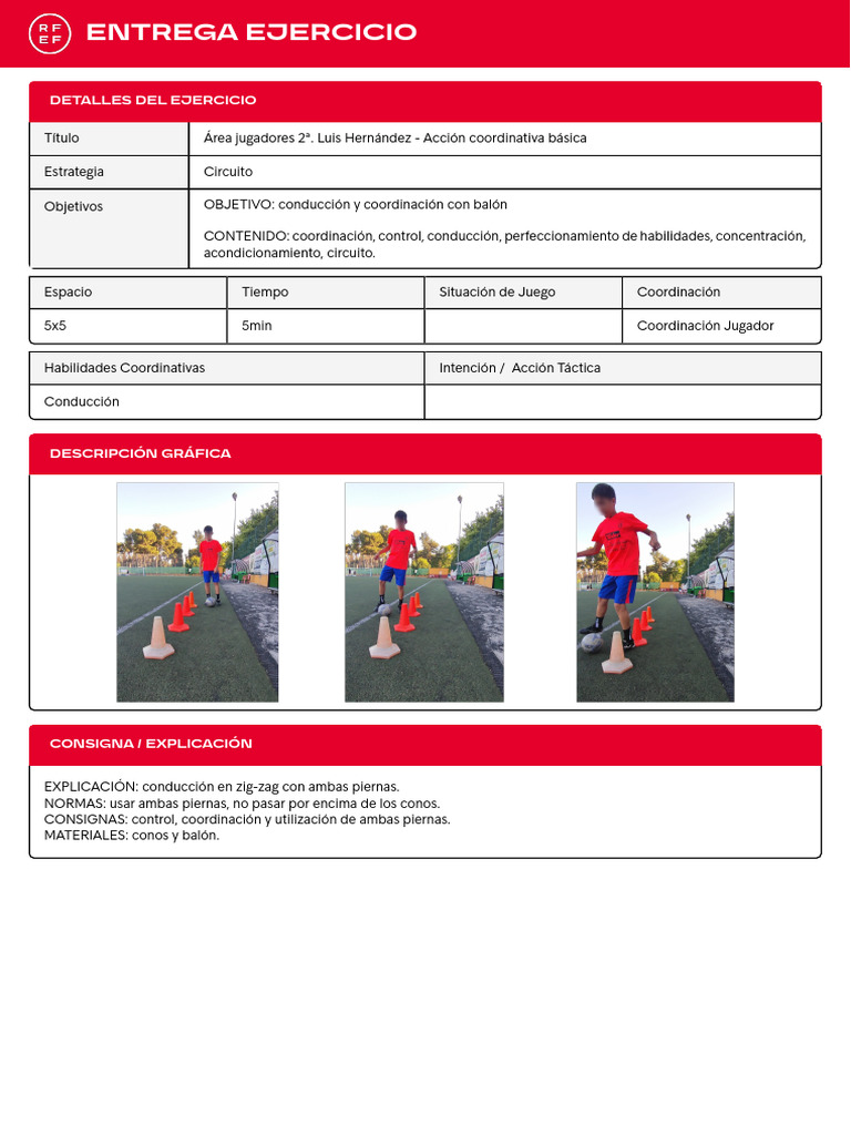 Tarea Area Jugadores - Luis Hernandez | PDF