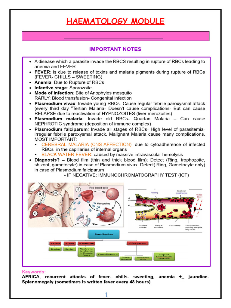 Revision Blood Module 2024 Bylaw 2024 | PDF