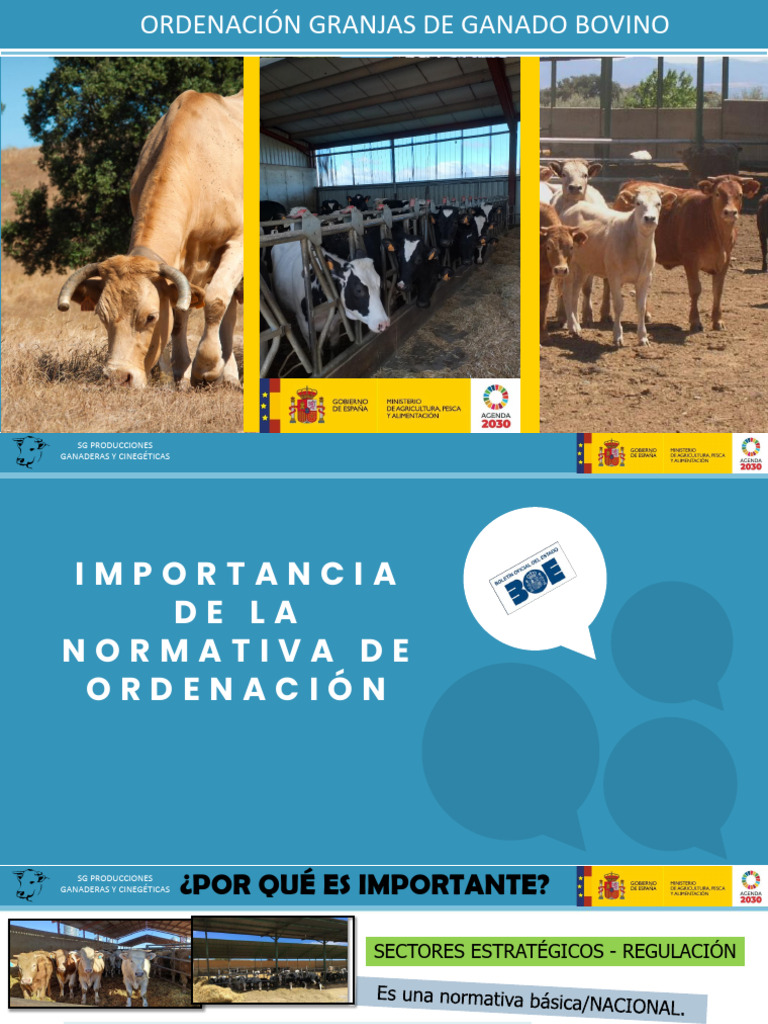 Normativa de Ordenación de Granjas Bovinas | PDF | Agua | Granjas