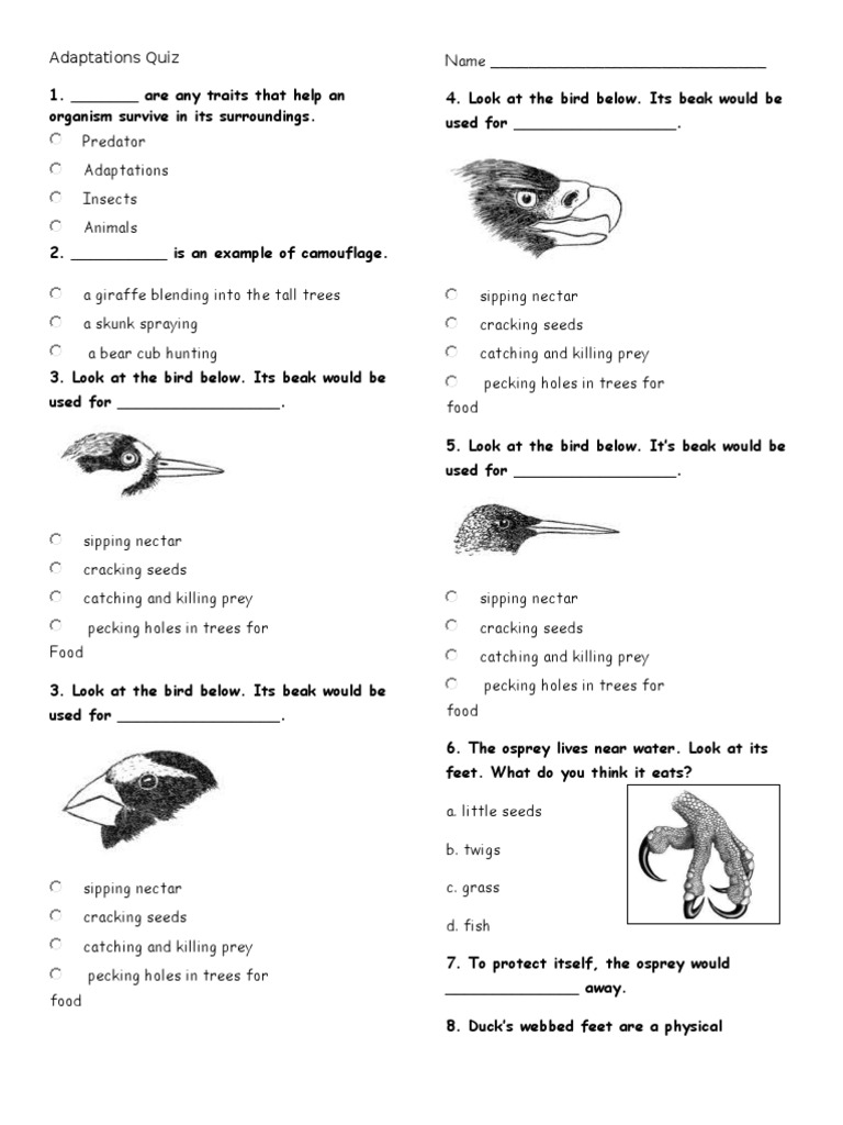 Adaptations Quiz