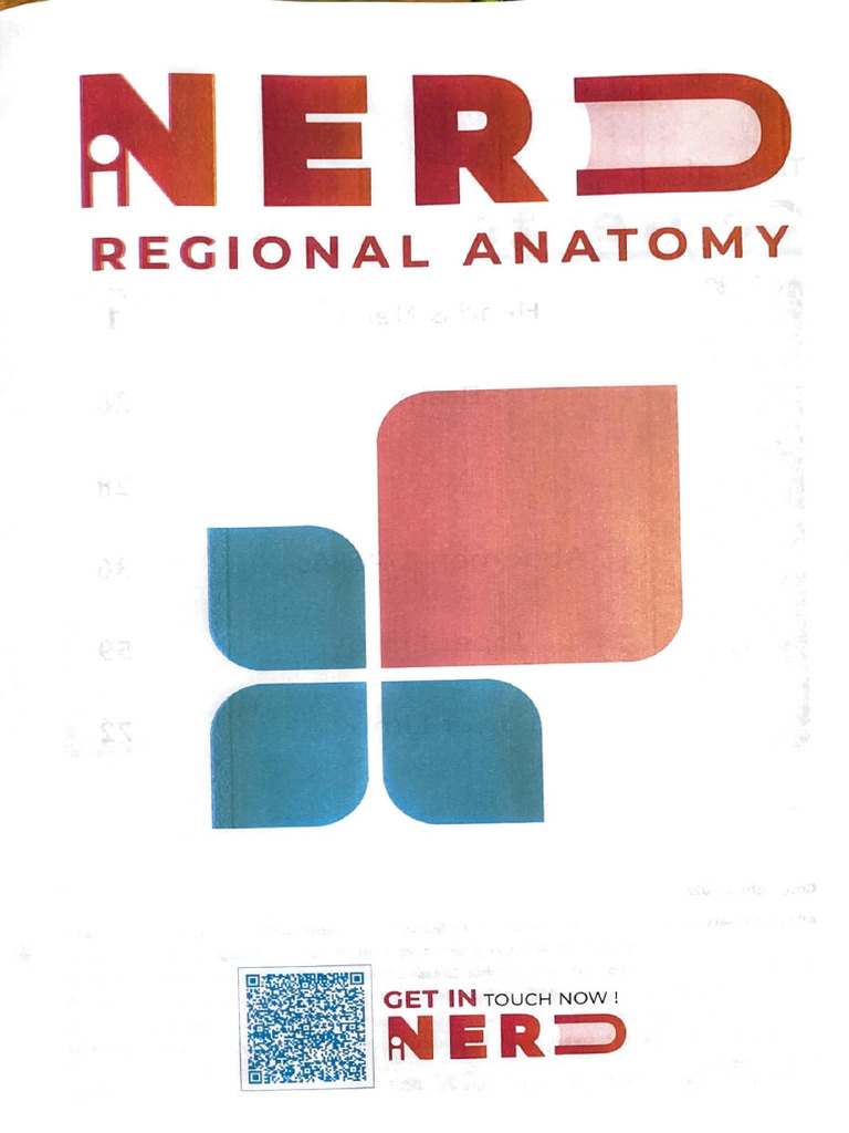 INerd-Regional Anatomy | PDF