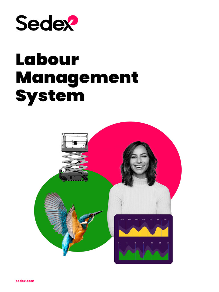 Sedex 1.1 Labour Management Systems | PDF
