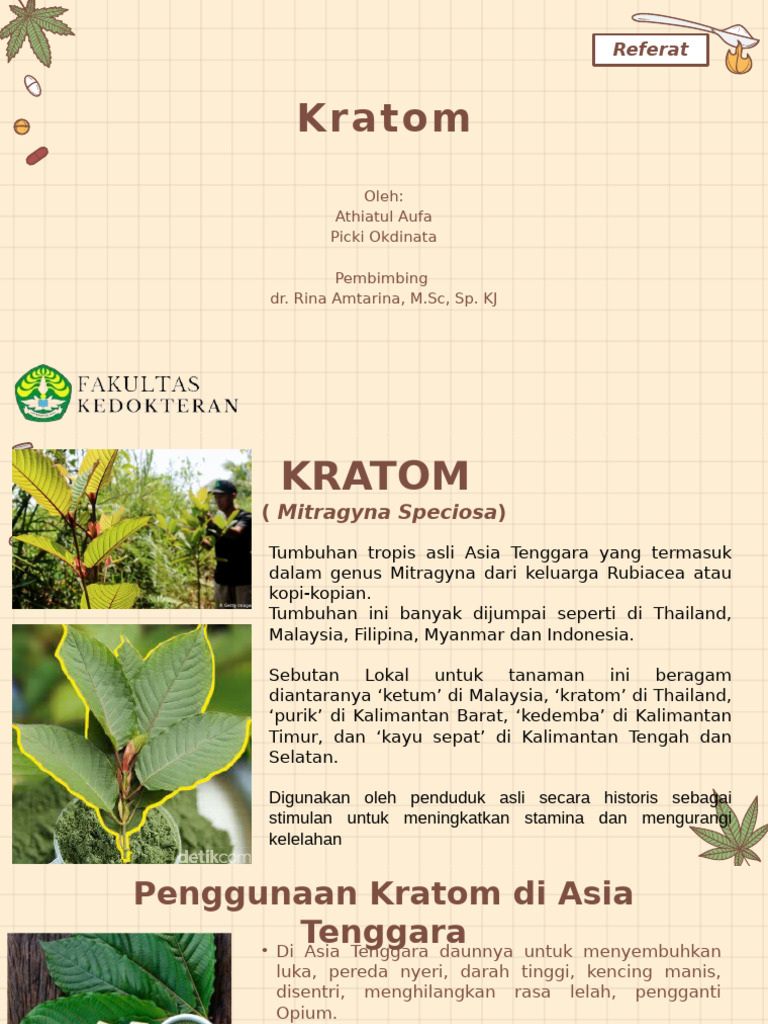 Substance Abuse and Addiction Prevention - Health - 9th Grade by ...