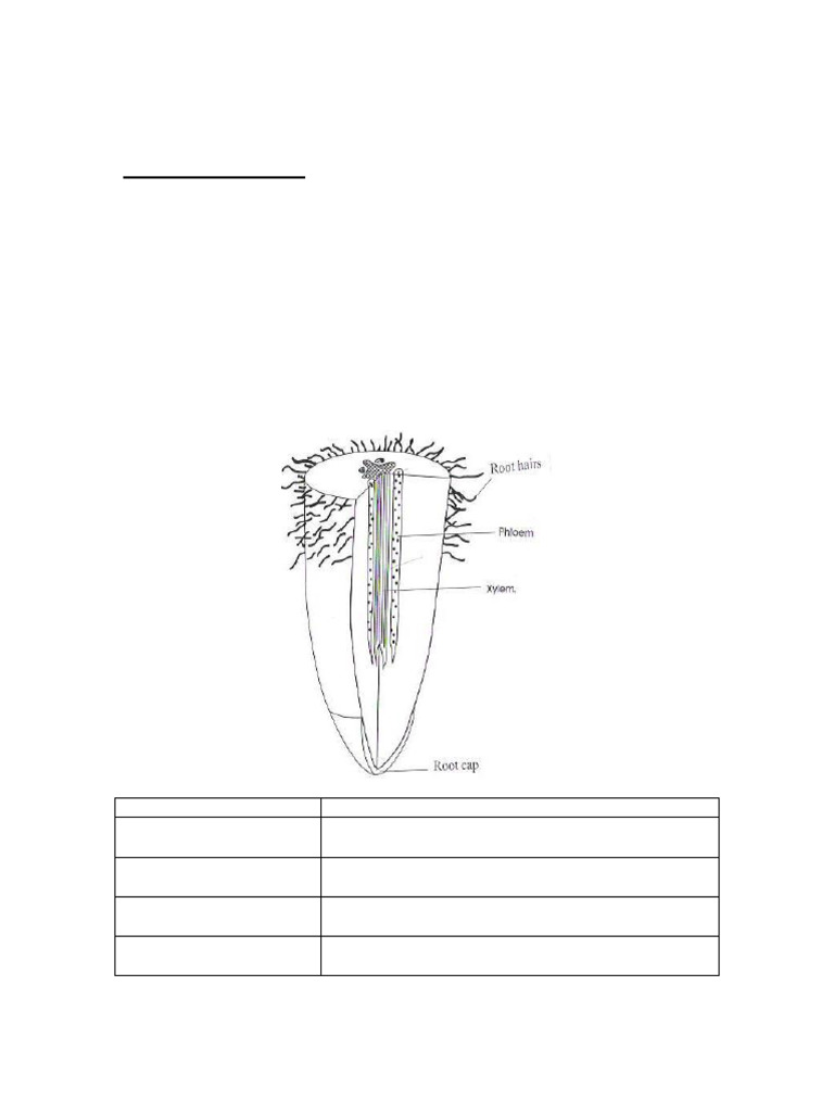 Module 2 | PDF